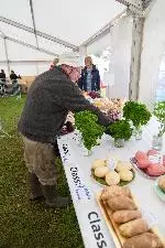 Gallery 2017 - Royal Meath Show
